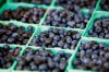 Farm Facts: Blueberries - My Indiana Home