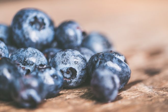 U-Pick Blueberry Farms in Indiana