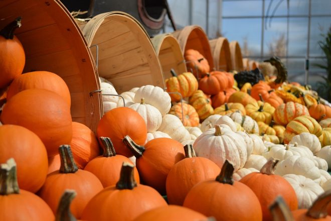 Indiana Agritourism, Farm Visits and Field Trips