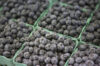 U-Pick Blueberry Farms in Indiana