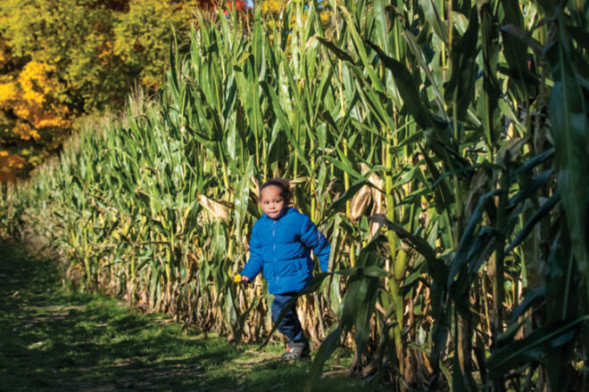Indiana Agritourism, Farm Visits and Field Trips
