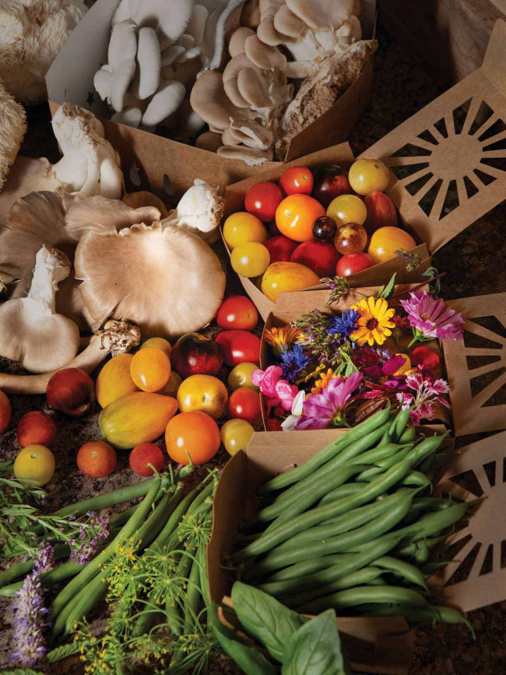 Beautiful Edibles Focuses on Food Advocacy to Help Nourish the ...