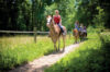 9 Things to Do in Hendricks County This Spring - My Indiana Home