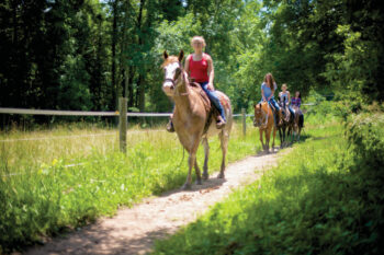 9 Things to Do in Hendricks County This Spring - My Indiana Home